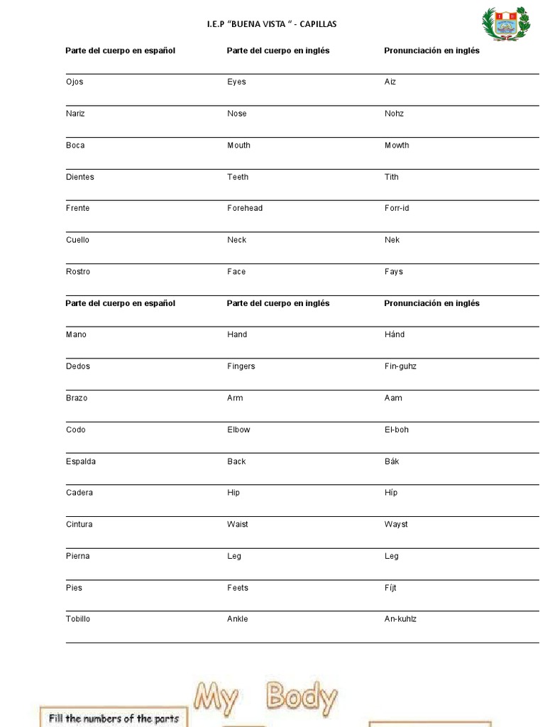 Ficha de Ingles Parts Del Body1 y 2 | PDF