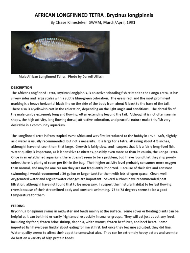 African Longfinned Tetra | PDF | Spawn (Biology) | Fish