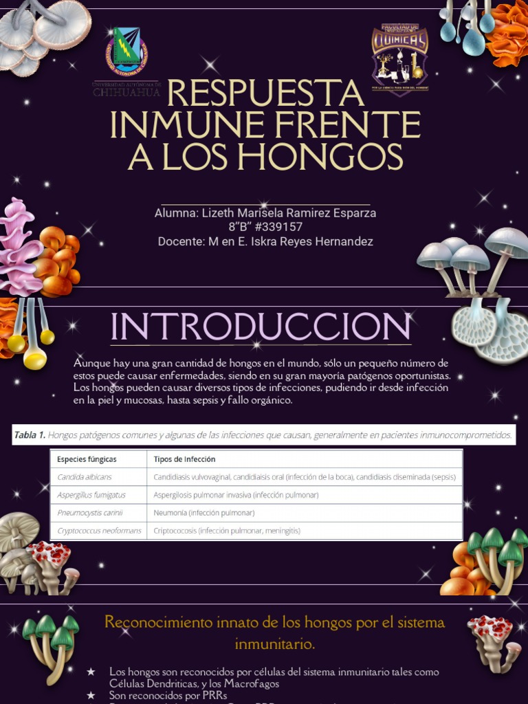 Inmunidad VS Hongos | PDF