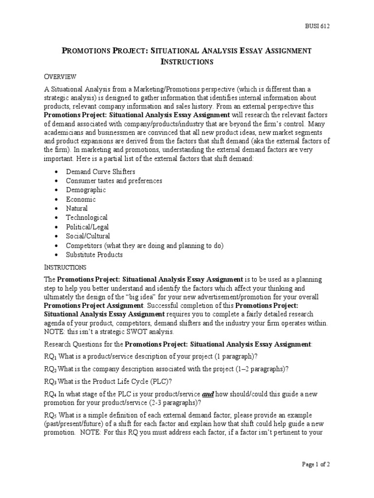 Promotions Project Situational Analysis Essay Assignment Instructions ...