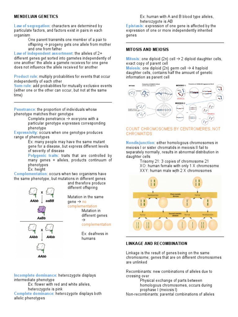 LS 107 - midterm 1 cheat sheet | PDF | Genetic Linkage | Meiosis