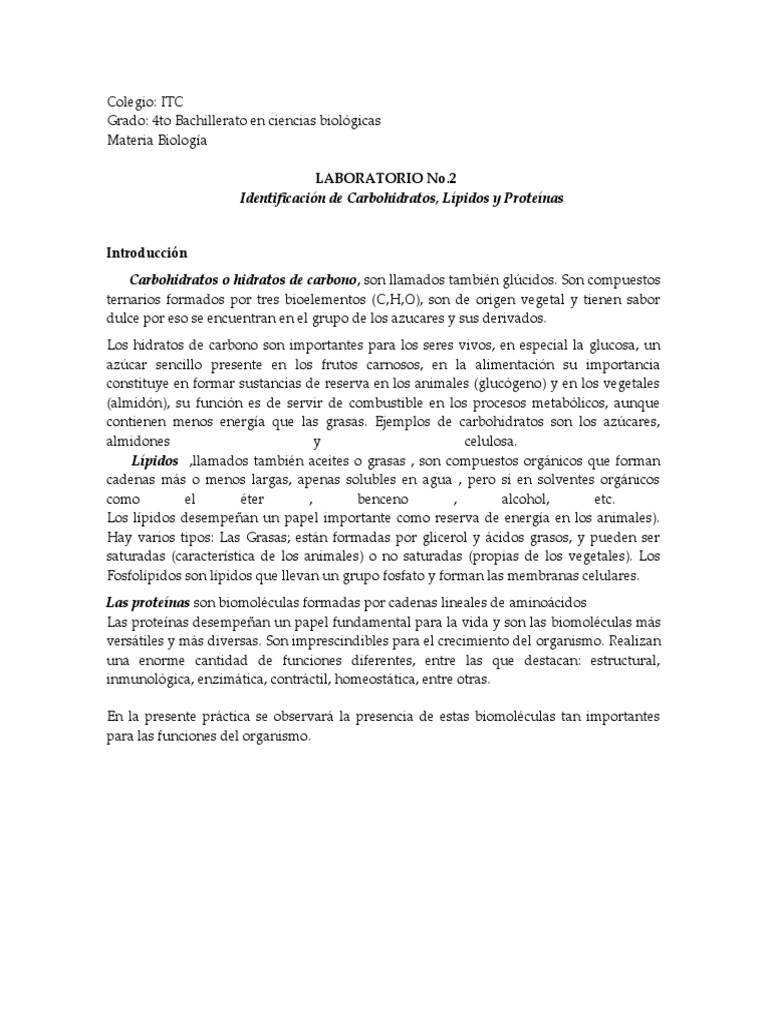 Practica 2 Carbohidratos Lipidos Y Proteinas Pdf Carbohidratos