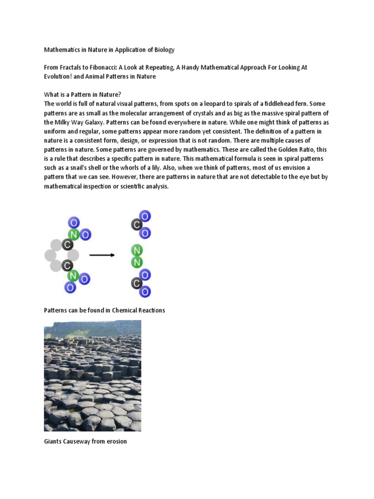 Mathematical Patterns in Nature: Exploring Symmetry, Fractals, and the ...