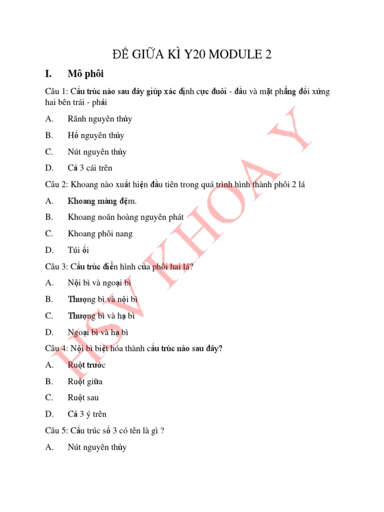 ĐỀ GIỮA KÌ Y20 MODULE 2 | PDF