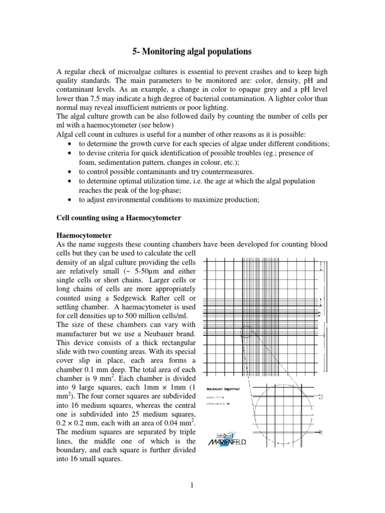 5-Monitoring Algal Populations: Cell Counting Using A Haemocytometer ...
