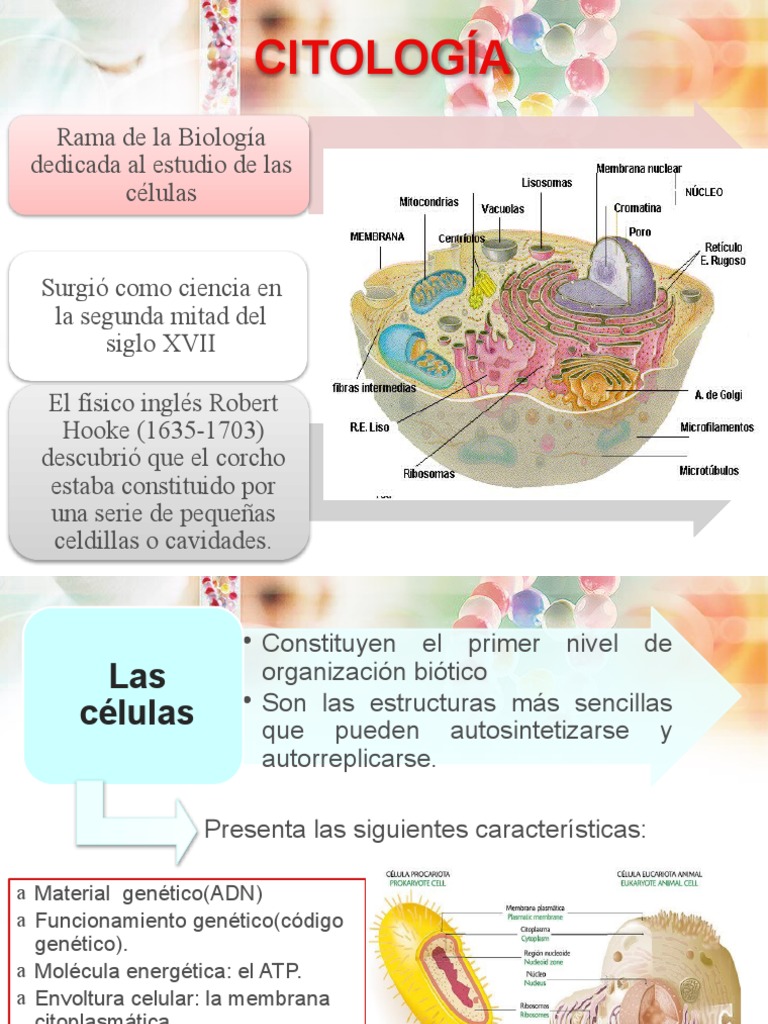 La Célula | PDF