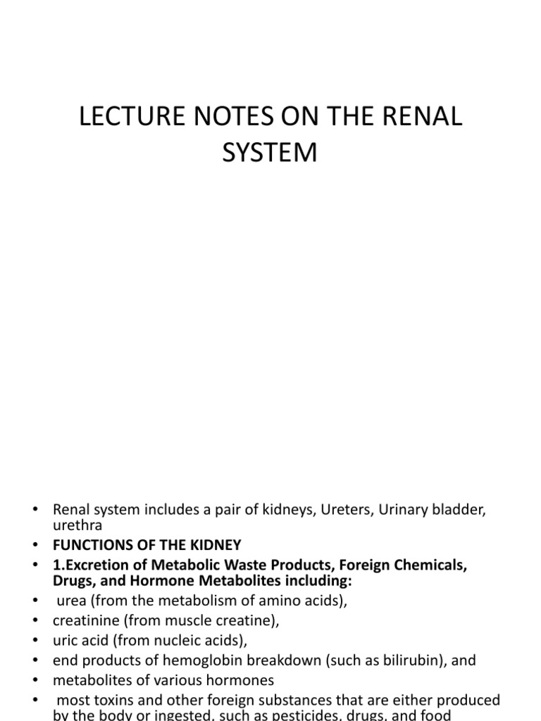 Lecture Notes On The Renal System-1 | PDF | Kidney | Angiotensin