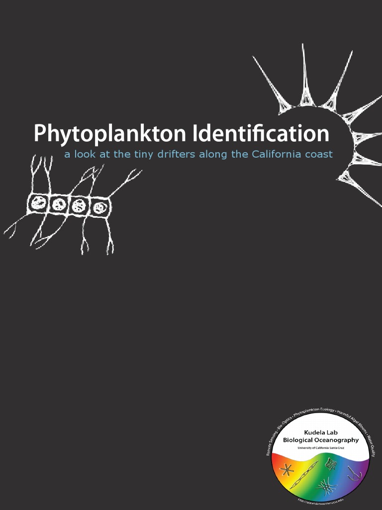 Phytoplankton Identification Guide | PDF
