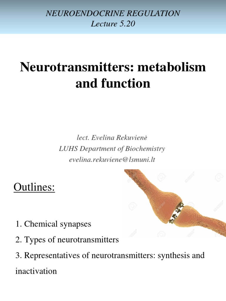 Neurotransmitters: Metabolism and Function: Neuroendocrine Regulation | PDF | Neurotransmitter ...