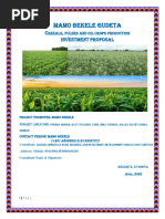 Small Scale Mining Business Proposal | PDF | Net Present Value | Mining