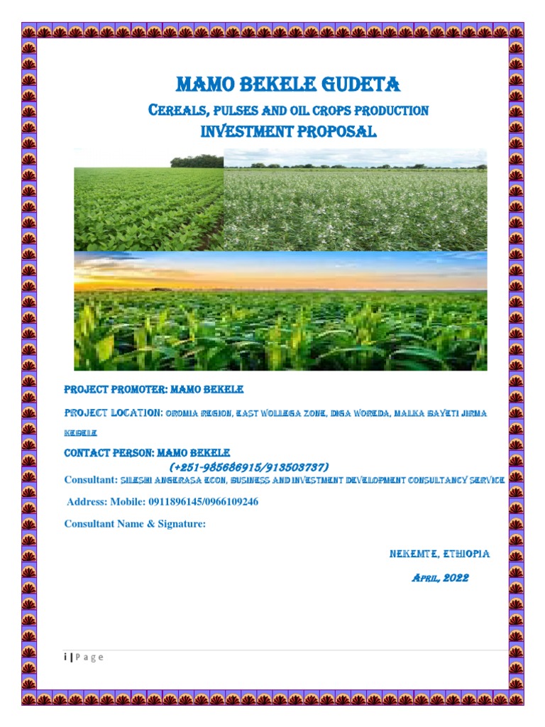 Mamo Bekele_Farming PLc Inve proposal edited1 | PDF | Agriculture ...