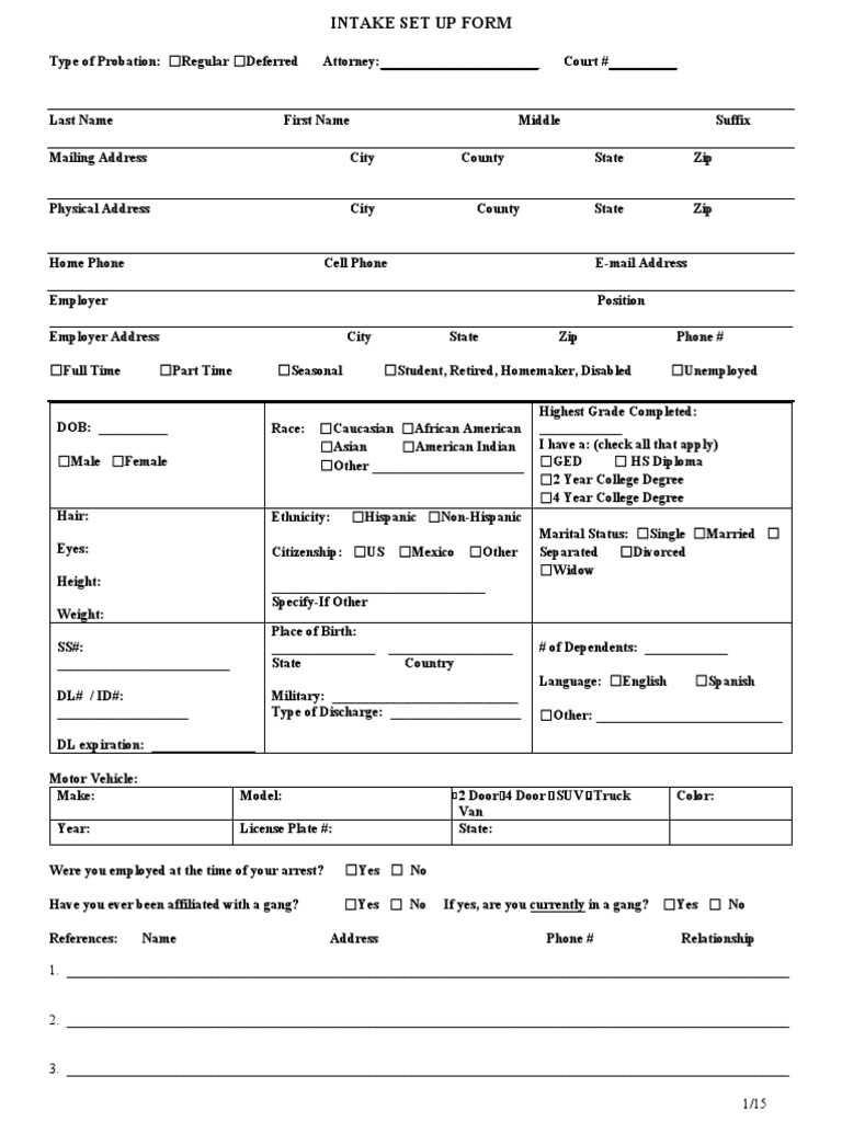 Probation Intake Form | PDF