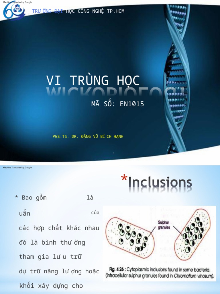 Microb 222 - Bacteria P3 | PDF