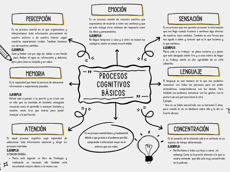 Procesos cognitivos básicos: percepción, atención, memoria y lenguaje ...