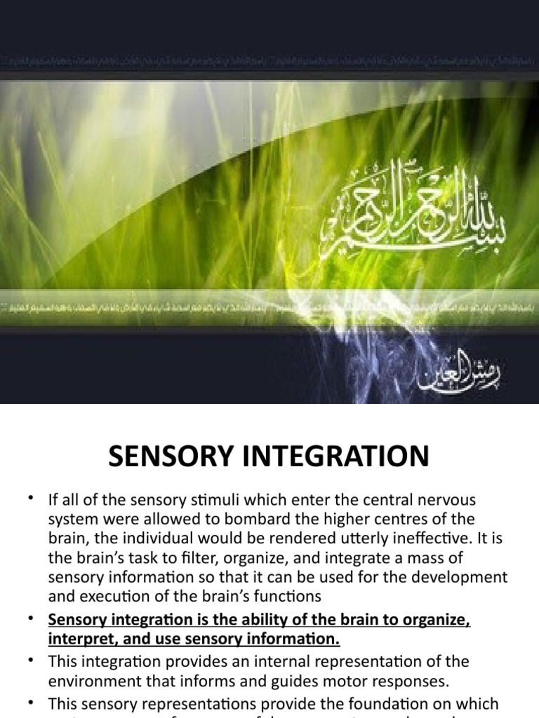 Understanding Sensory Integration and Function | PDF | Somatosensory ...