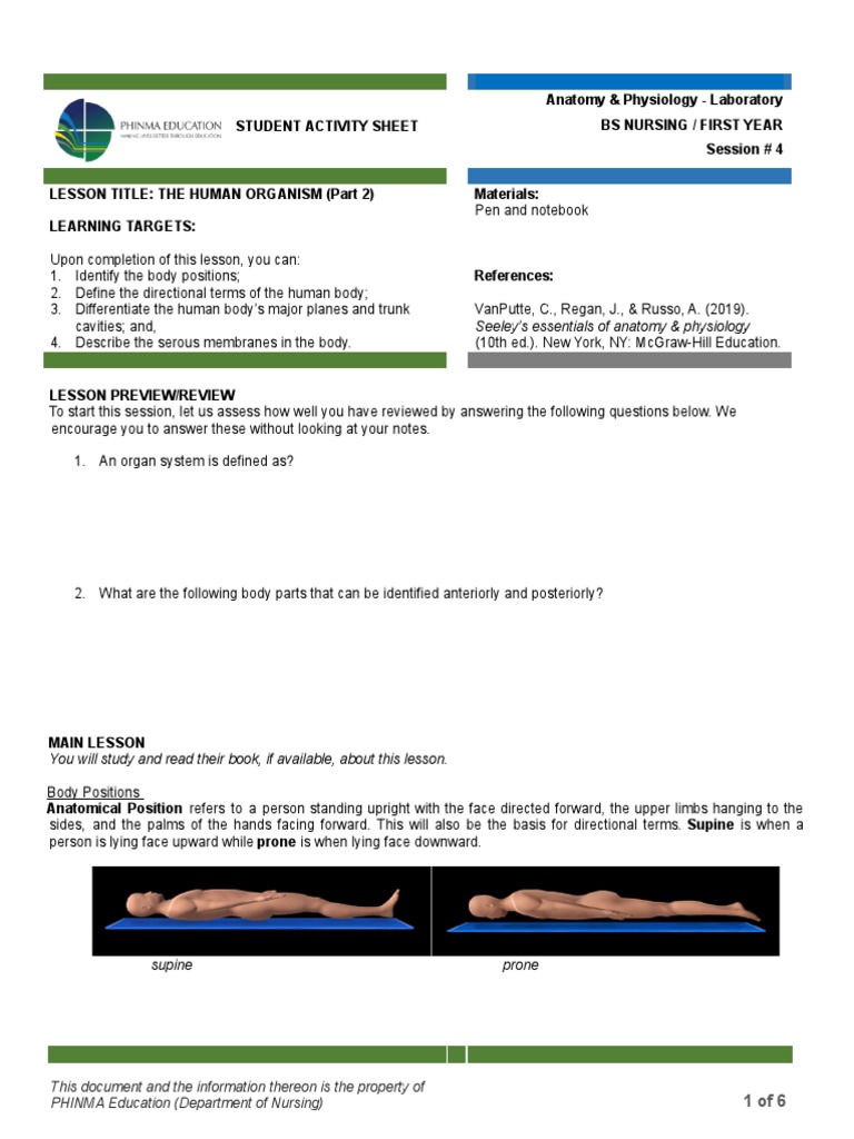 Anatomy Lab: Body Positions & Terms | PDF
