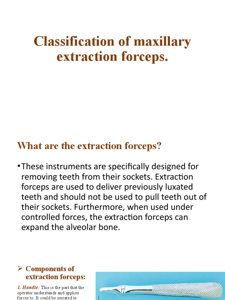 Maxillary Extraction Forceps Guide | PDF | Tooth | Dental Anatomy