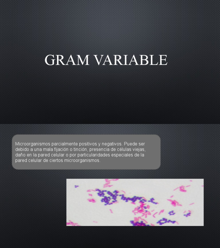 Gram Variable | PDF
