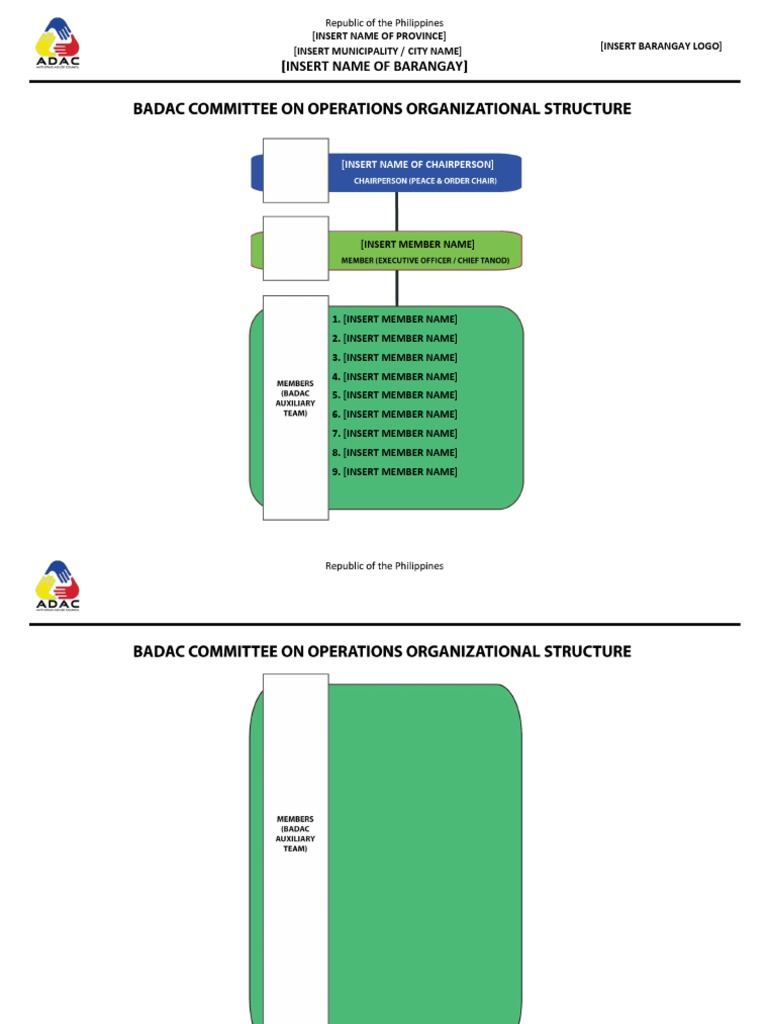 BADAC TEMPLATE - Committee On Operations Organizational Structure | PDF