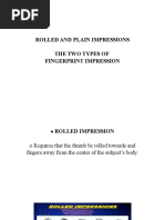 Portrait Parle | PDF | Anthropometry | Hair