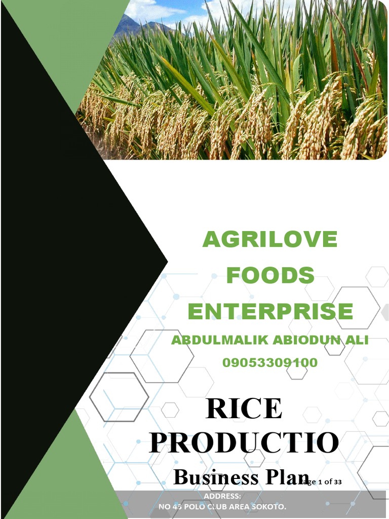 Rice Farming Business Plan Overview | PDF | Agriculture | Rice