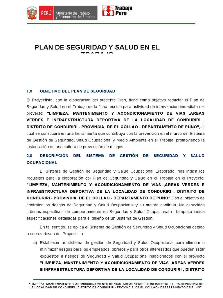 Plan de Seguridad | PDF | Seguridad y salud ocupacional | Valores