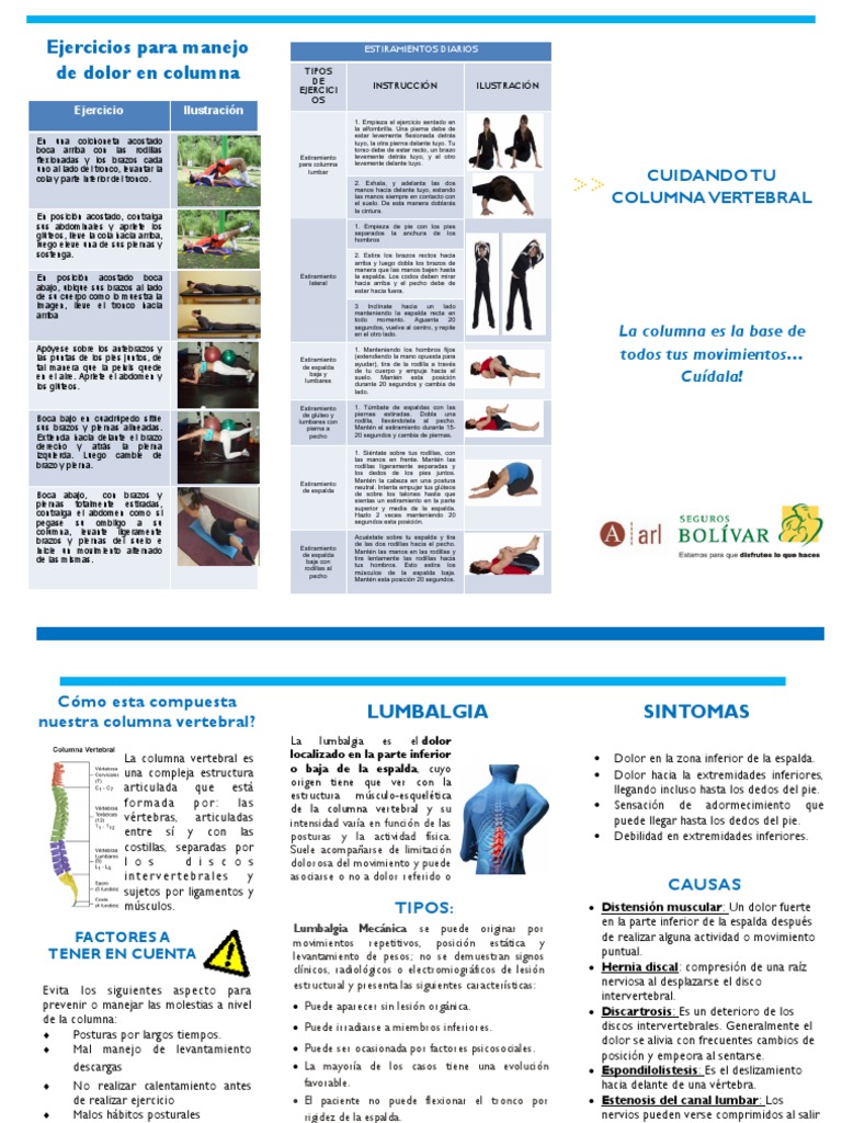Folleto Columna Lumbar | PDF | Dolor lumbar | La columna vertebral