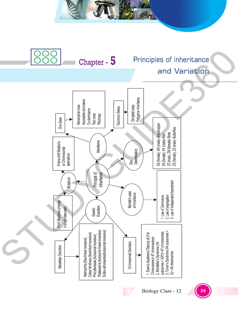 Class 12 Biology Notes Chapter 5 Studyguide360 | PDF