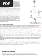 Ouchterlony Double Diffusion Method | PDF | Antibody | Gel Electrophoresis