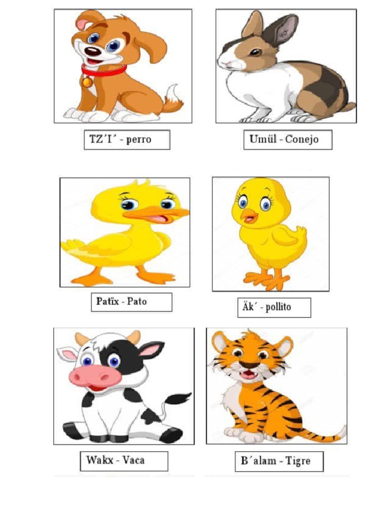 32 Imagenes En Kaqchikel Pdf
