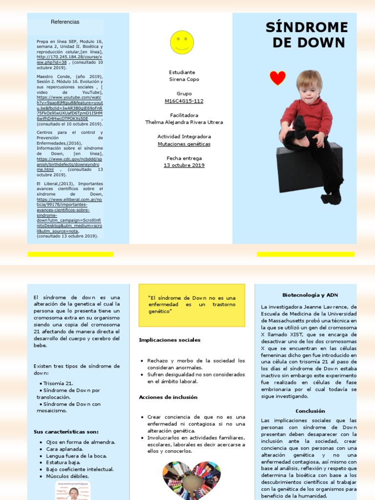 Triptico Sindrome de Down | PDF | Síndrome de Down | Genética