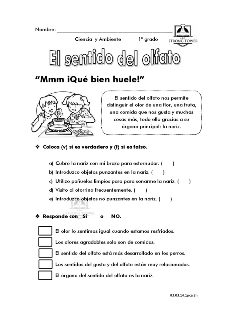 03.03.14.1pca 2h Sentido Del Olfato | PDF | Artes del Lenguaje y ...
