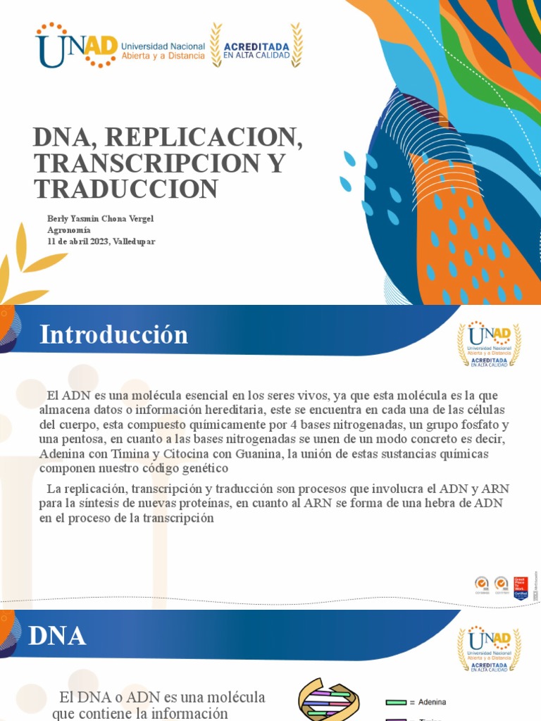 ADN, Replicacion, Transcripcion y Traduccion | PDF | Adn | Genética
