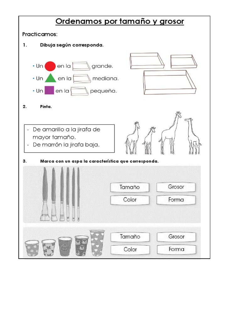 Ordenamos Por Tamaño y Grosor | PDF
