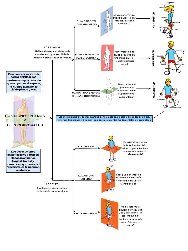 Planos y Ejes Corporales | PDF | Eje