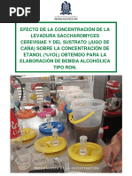 Introduccion A Los CHONPS | PDF | Alimentos | Nutrientes