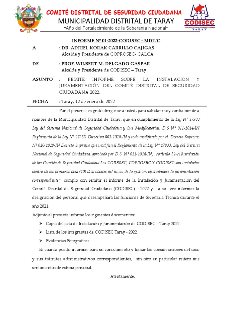 Informe 01 Coprosec | PDF