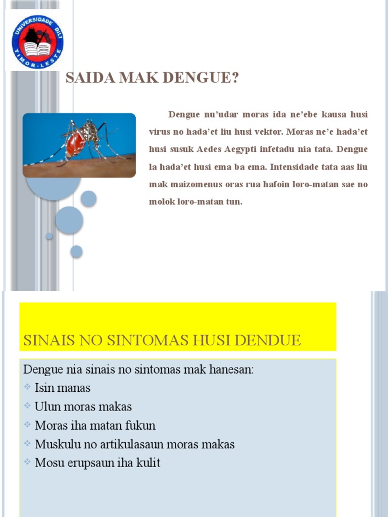 Saida Mak Dengue | PDF