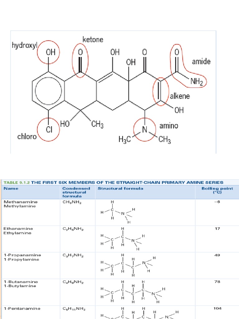 Amines - Nitriles - Esters - Amides | PDF