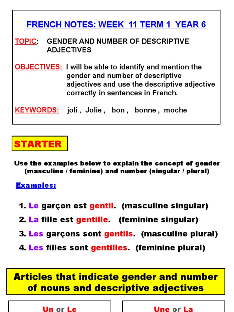 French Adjectives: Gender & Number | PDF