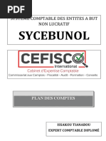 Plan Comptable Sycebnl | PDF | Obligation (Finance) | Banques