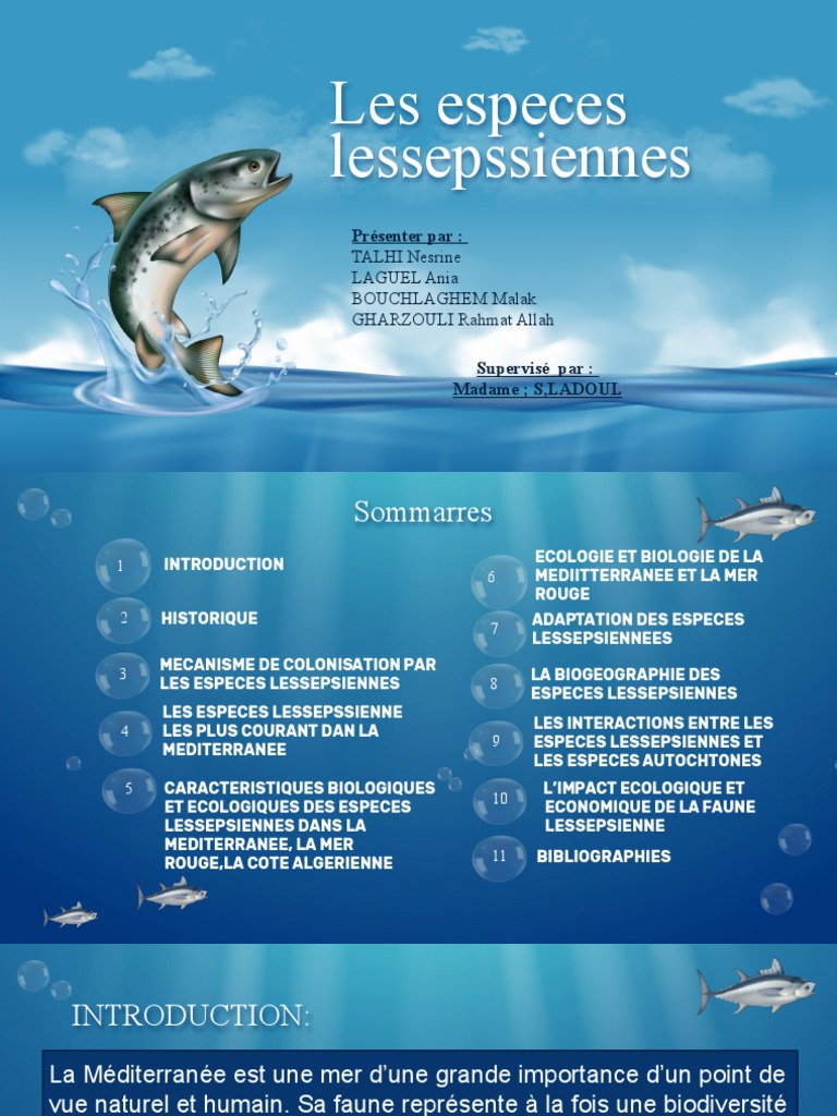 Impact des Espèces Lessepsiennes en Méditerranée | PDF | Canal de Suez ...