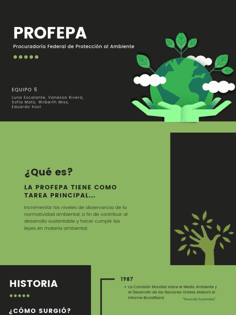 PROFEPA | PDF | Desarrollo sostenible | Naciones Unidas