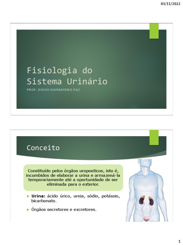 Fisiologia Do Sistema Urinário: Conceito | PDF | Rim | Sistema urinário