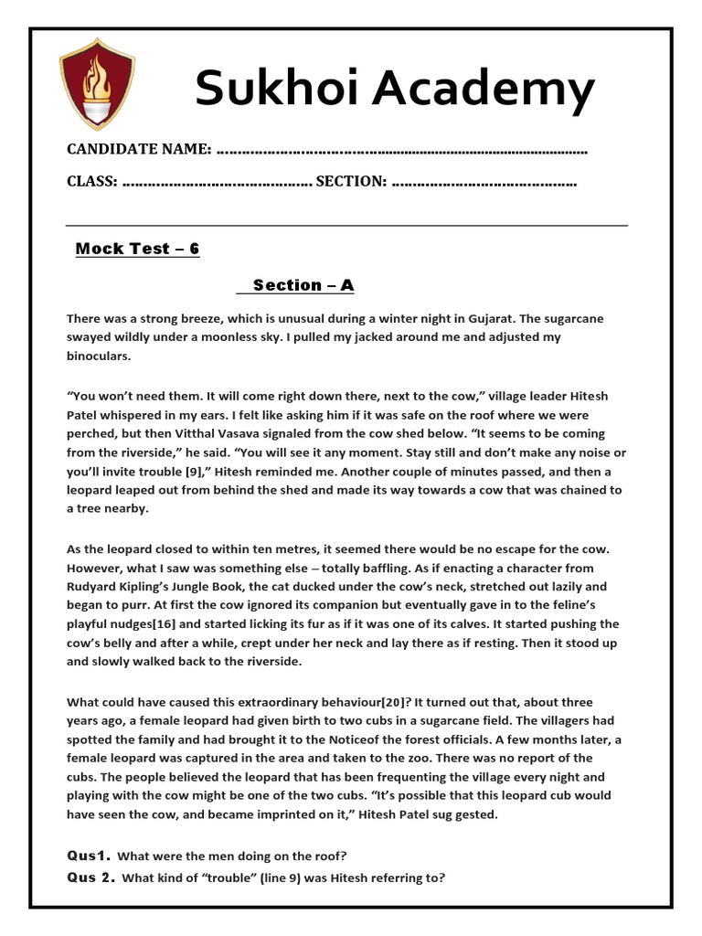 Sukhoi Academy | PDF