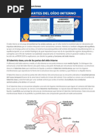 Otoscopia Normal | PDF | Oído | Anatomía