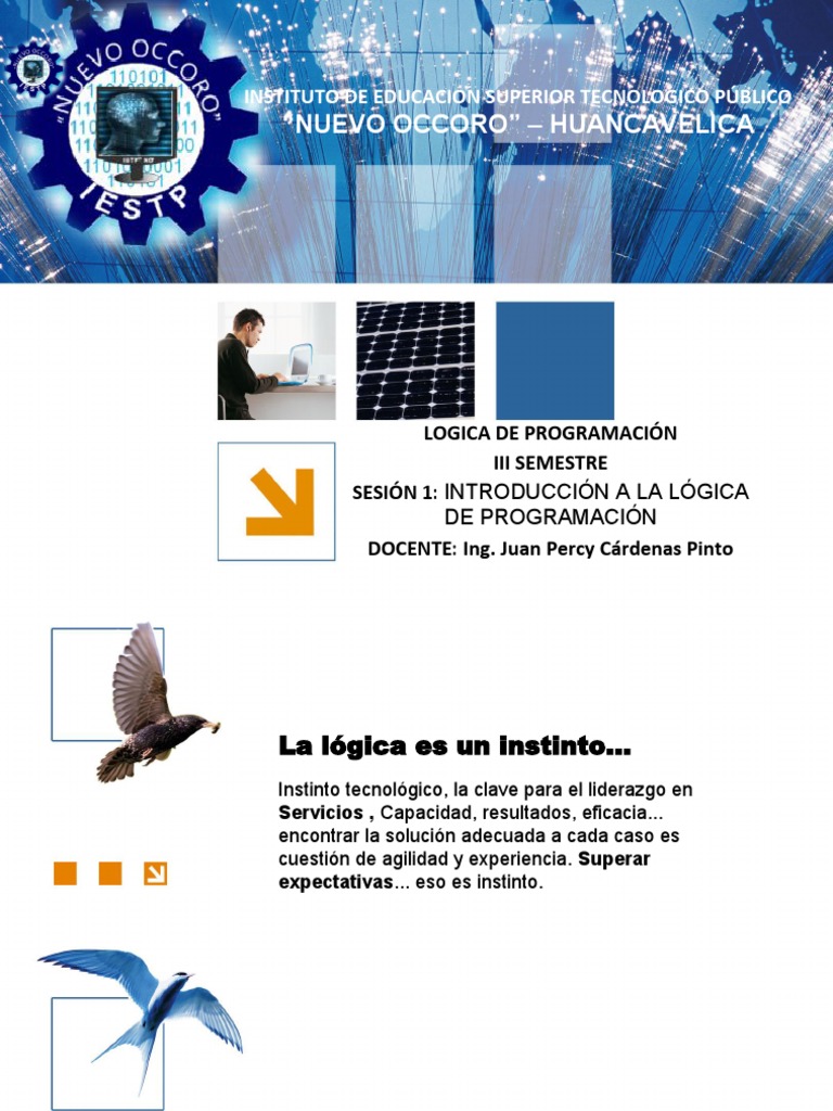 Introducción A La Lógica de Programación | PDF | Programa de ...