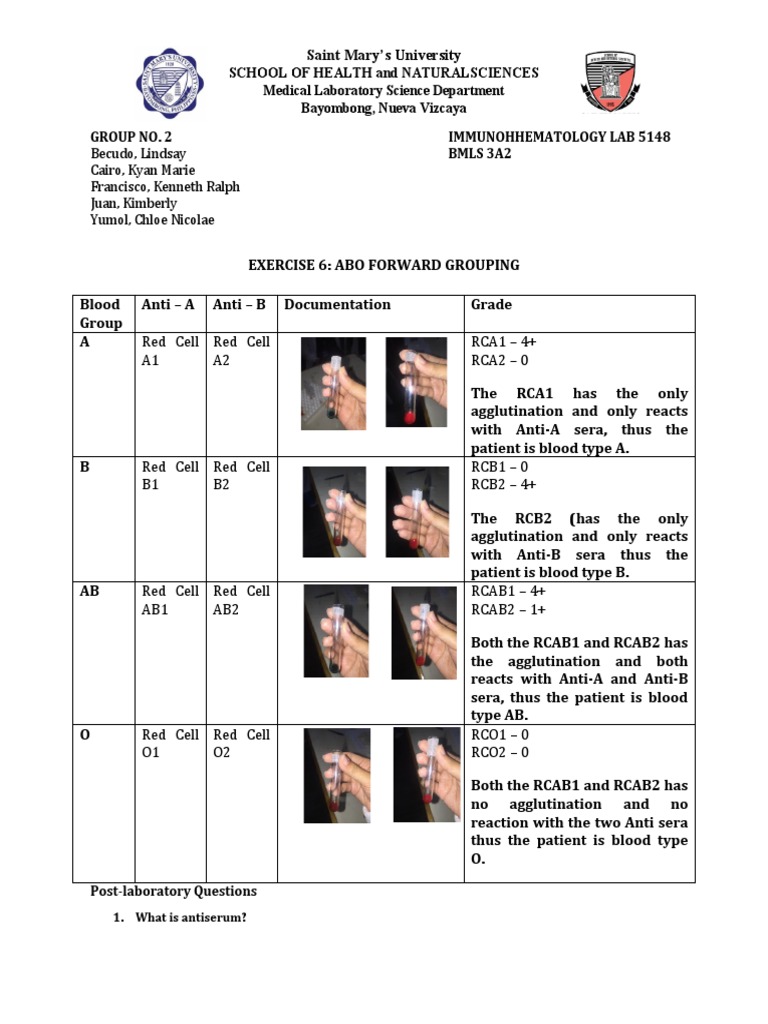 ABO Forward Grouping Analysis | PDF | Blood Type | Antibody