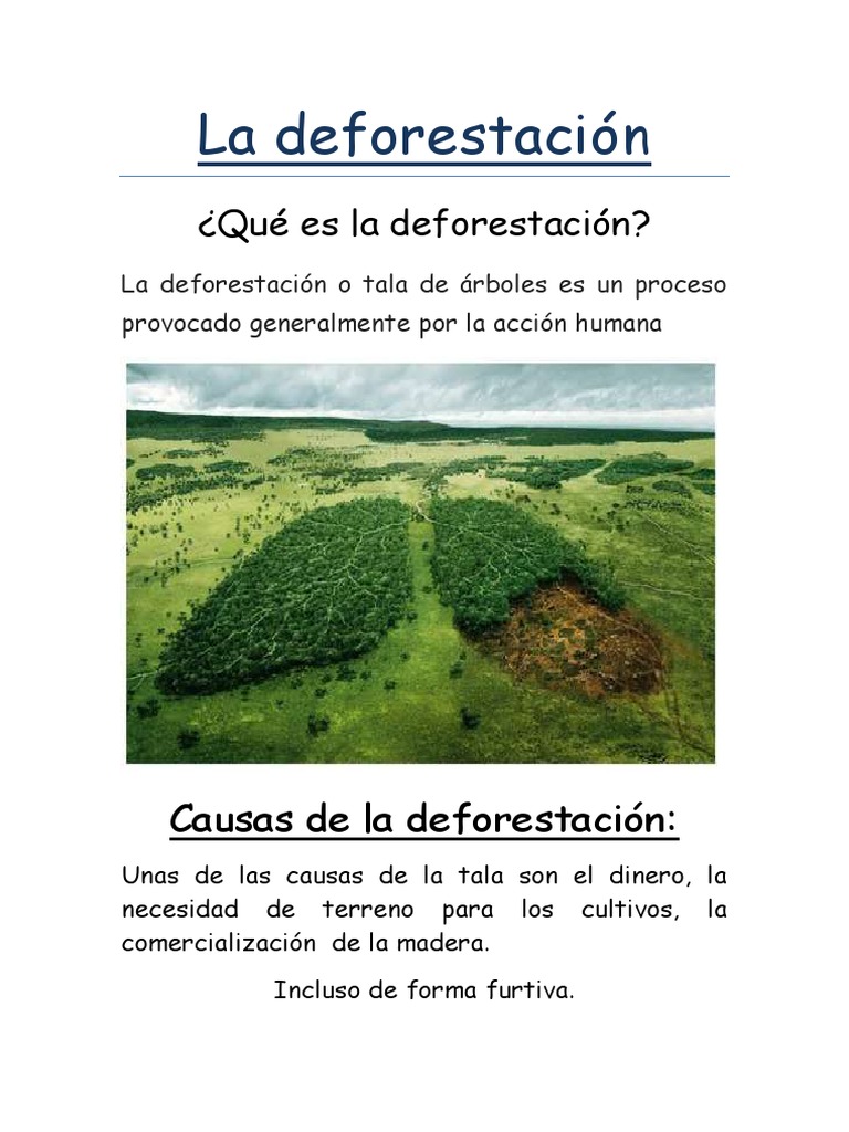 La Deforestación | PDF