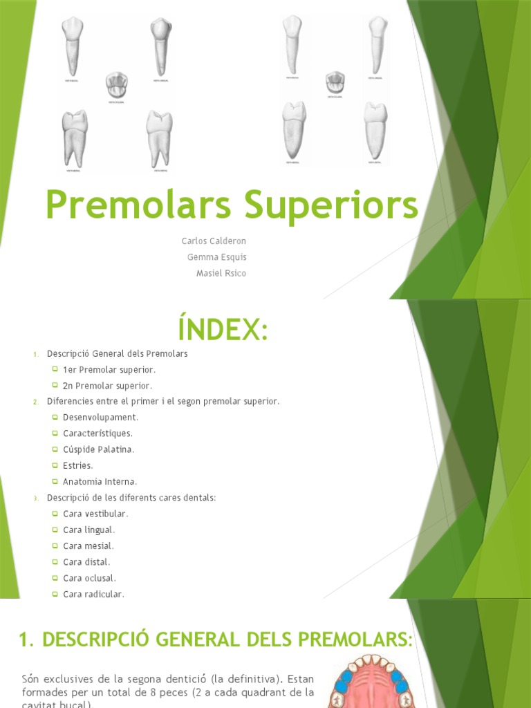 Premolars Superiors: Carlos Calderon Gemma Esquis Masiel Rsico | PDF